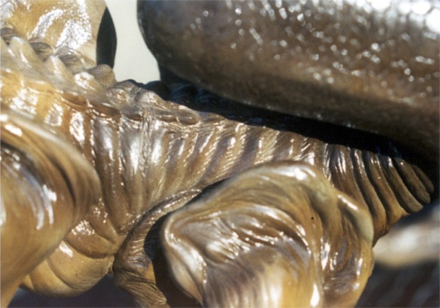 Alien 3 Dog Burster (Halcyon 1/1) - 한호성 / 모델에이드(ModelAid)